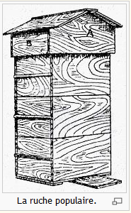 Plans de ruche Warré - Gaillac-toulza.com - Escayre.fr